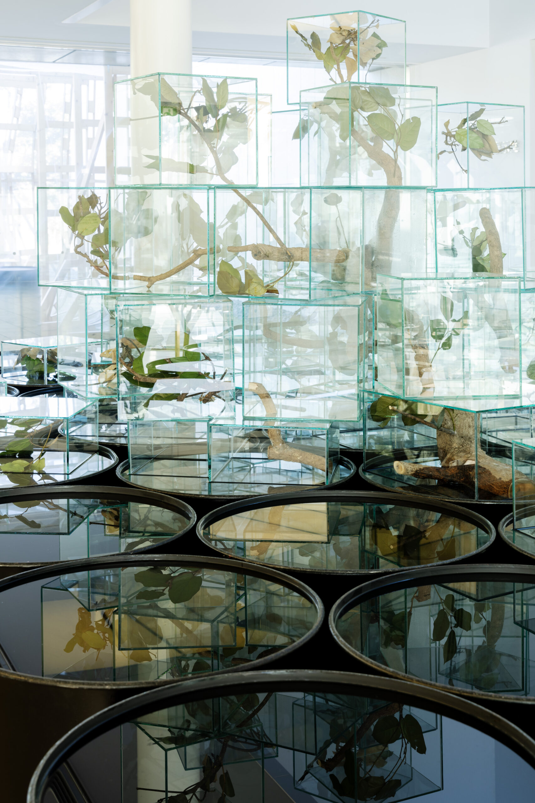 Artists Talk: Takashi Kuribayashi × TODO | The Museum of Modern Art ...